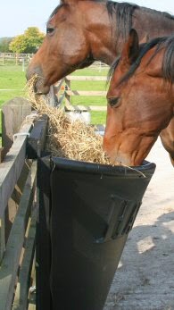 DiscoverThat - Journal: Portable Hay Bar