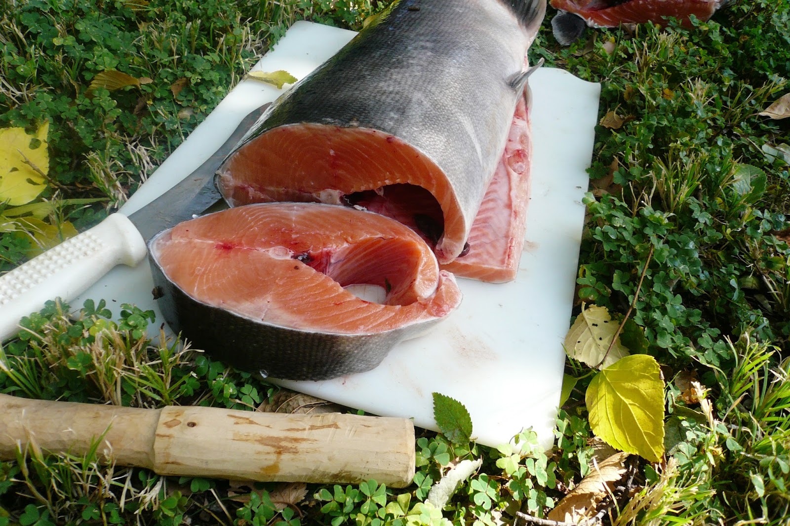 Countryman: Foraging California's Wild Side: How to Cut a Large Fish ...