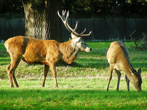 Crone Cronicles: Give it a wet or dry rub