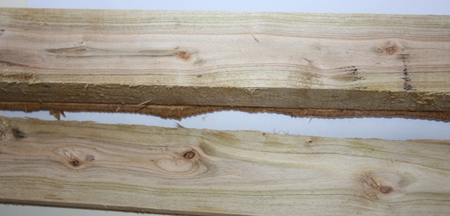 Wear the Warmth of Wood: Mulberry, Serviceberry, Chokecherry and Cherry