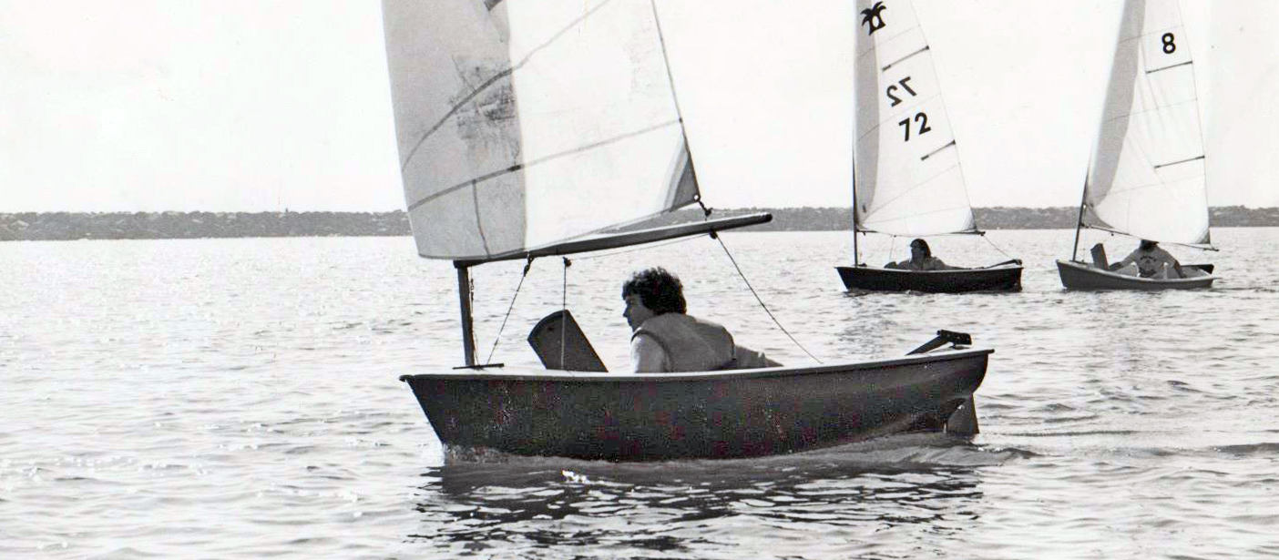 Earwigoagin: The Jester Dinghy: The Known and the Unknown