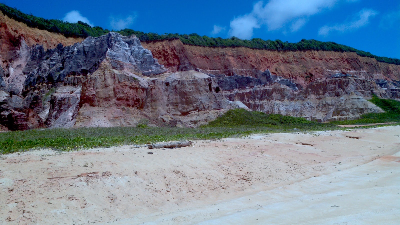 Férias no Nordeste: Maceió - Falésias do Gunga