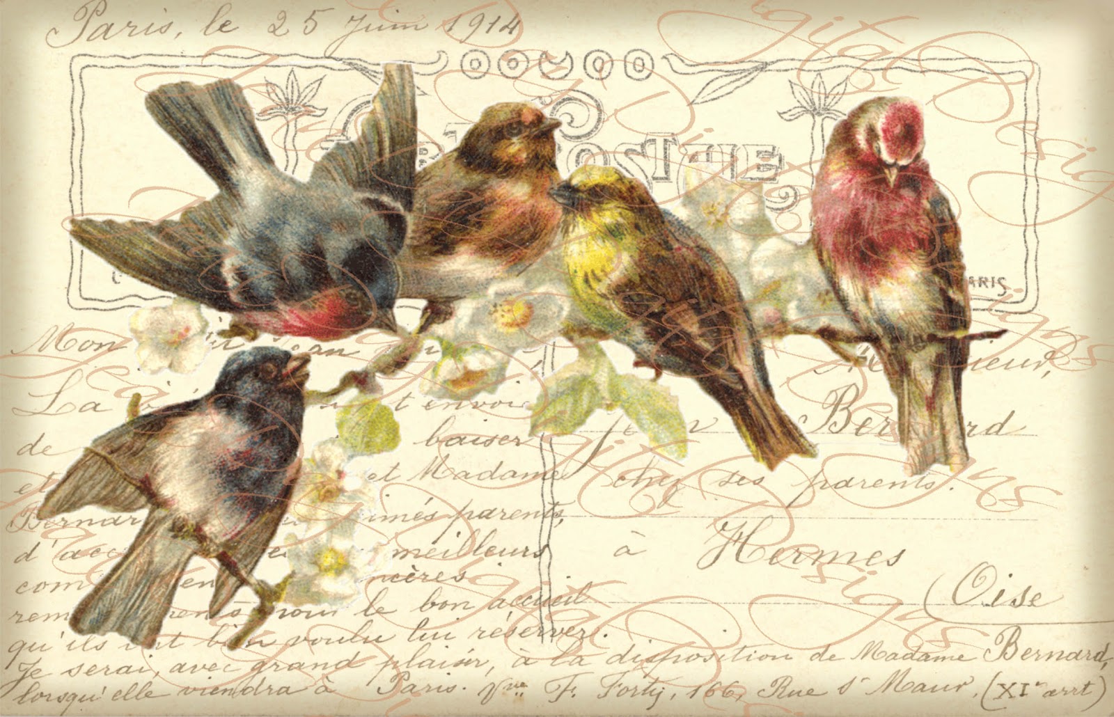 J Day Digital Designs, French Fancies, Vintage Finds: More Bird and ...