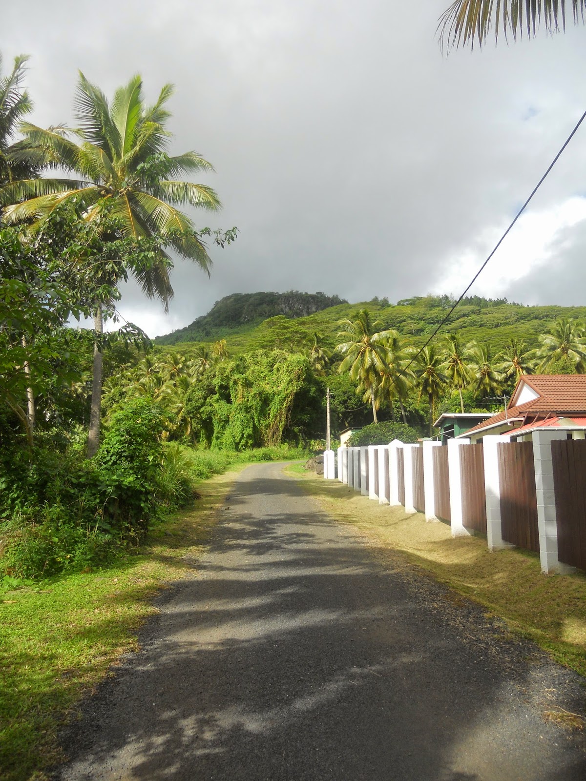 Another Day in New Zealand: Rarotonga Hike - Raemaru Heights Lookout