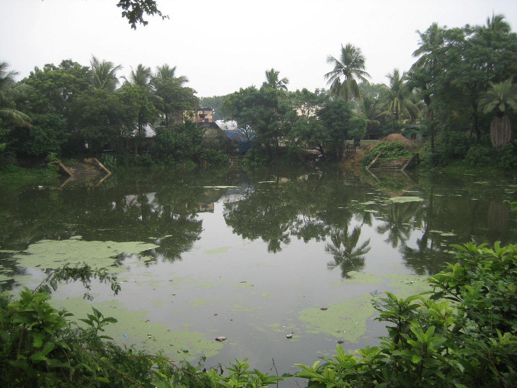 Tamilnadu Tourism: Sivalokanathar Temple, Tirupunkur, Nagapattinam