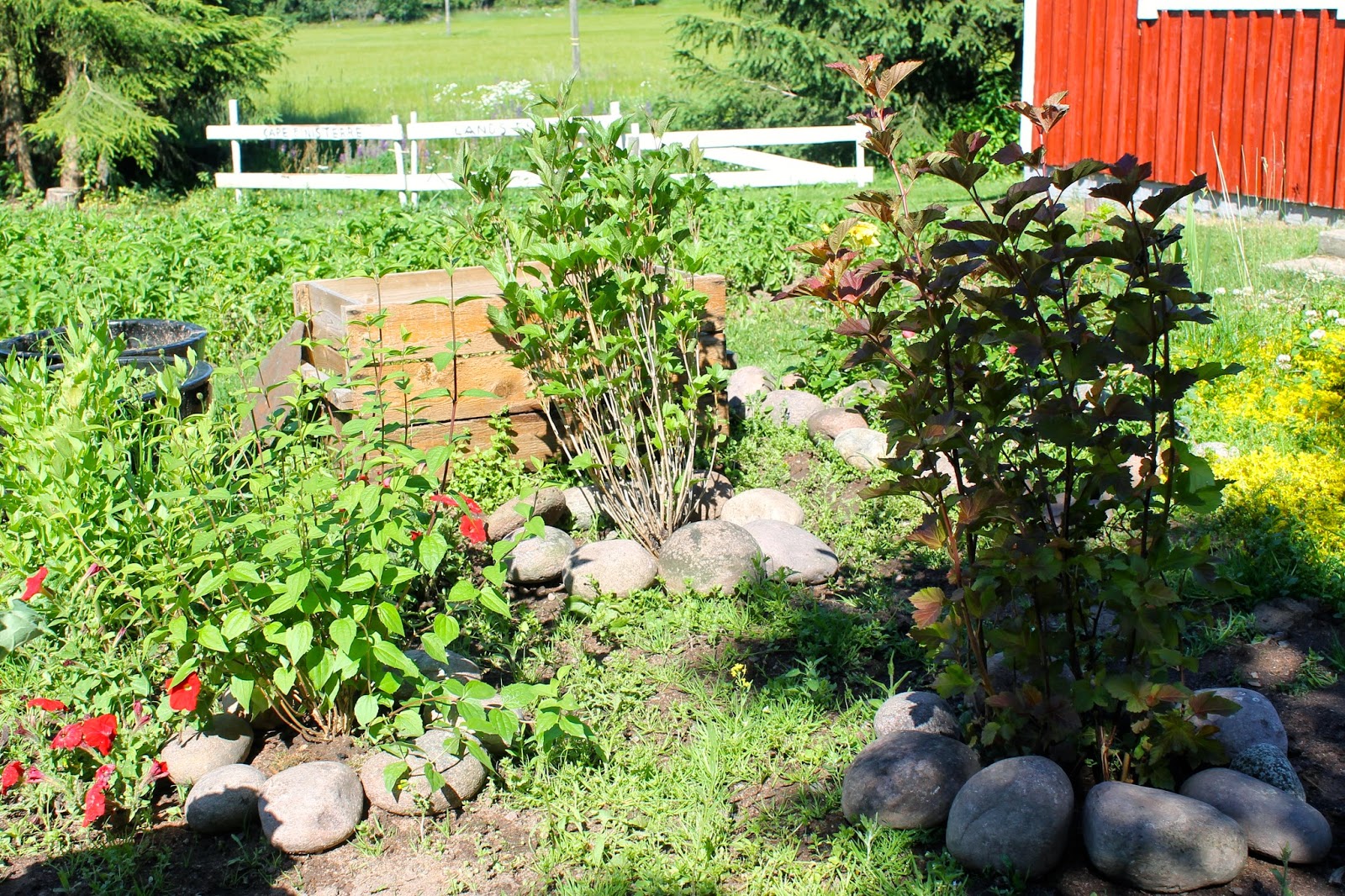 TORPPA JA TOUHUT: Puskia ja sato-odotuksia