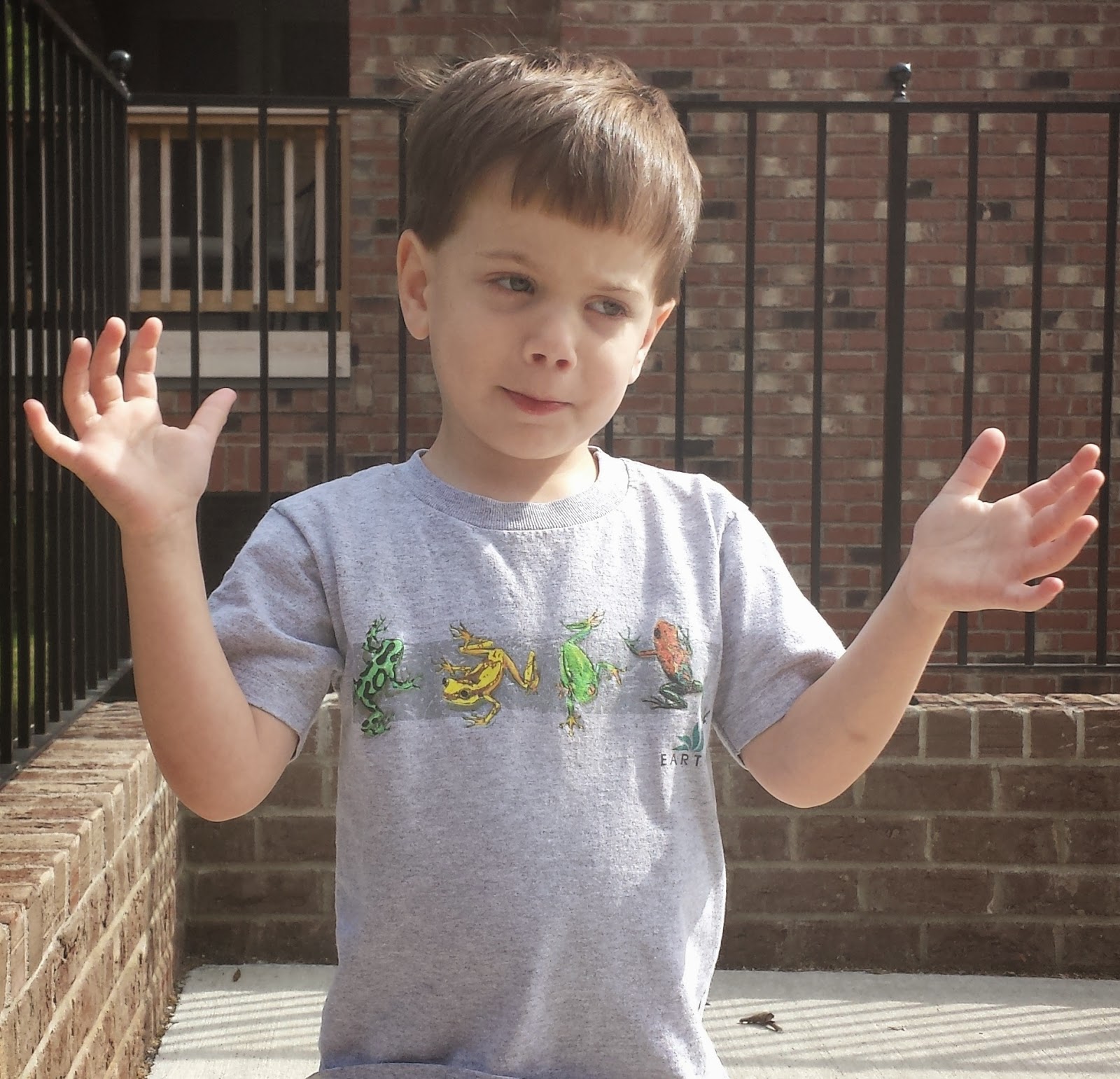 Maggie's Big Home: Phonemic Awareness: Segmenting Sounds