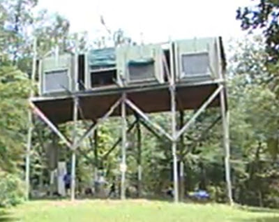 Eagles and Nature with chris7: Camellia's location, AEF Hack Towers and ...