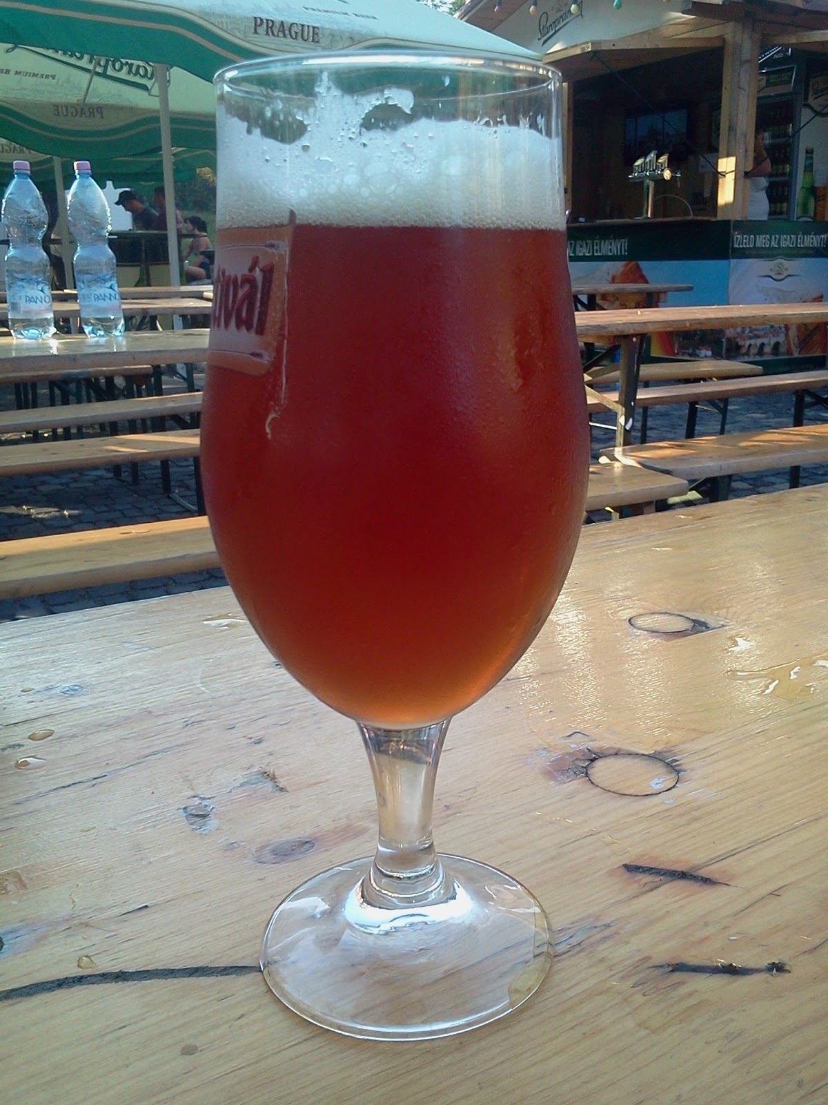 Hopfanatic Bodz IPA - Average Guy's Guide to Beer