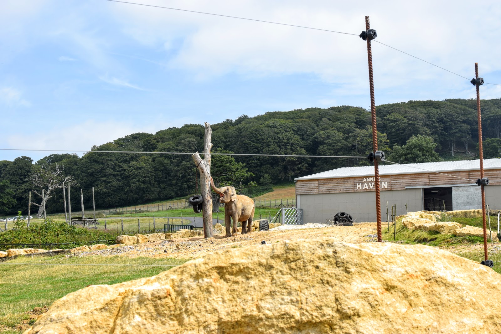 Review: A Family Day Out at Longleat Safari Park - Diary of the Evans ...