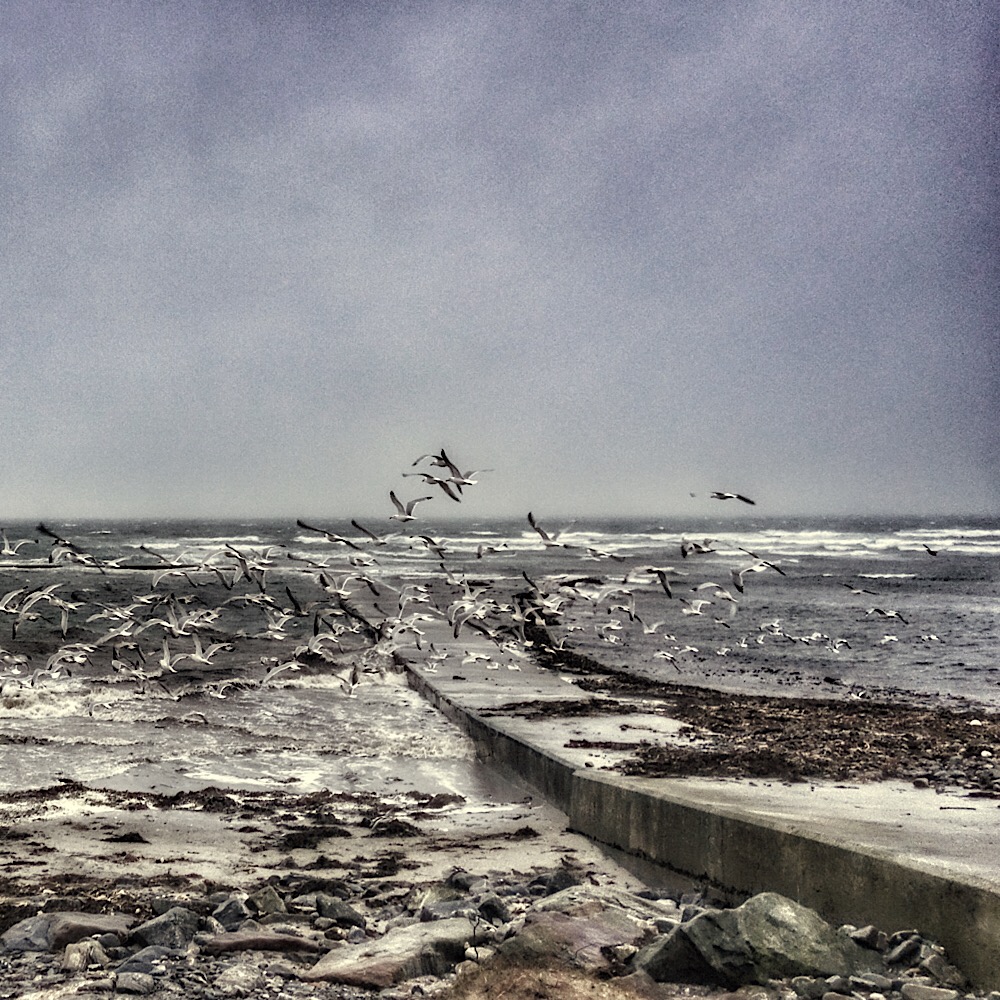 photo hebrides: cacophony, Stinky Bay