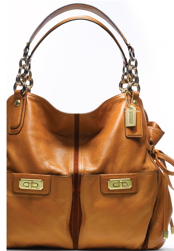 Healthy and Stylish: Beautiful handbags for this Fall-Winter 2012-13 season