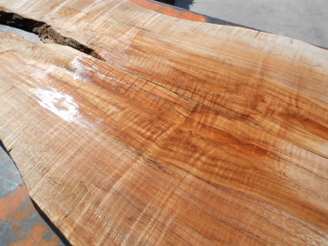 Tropical Exotic Hardwoods: New slabs added to our "Slabs Page"! (Koa ...