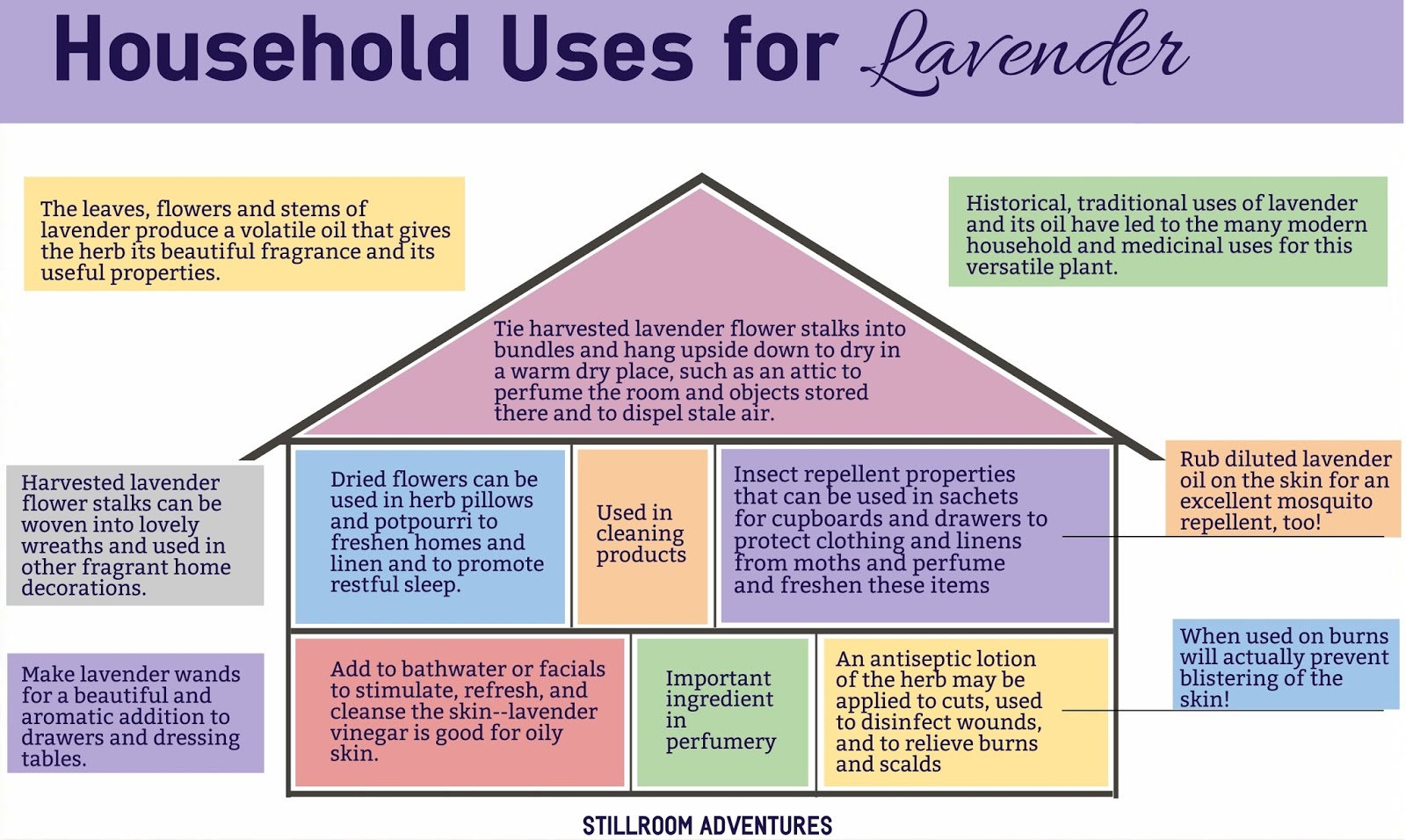 Lavender--The Ultimate Guide