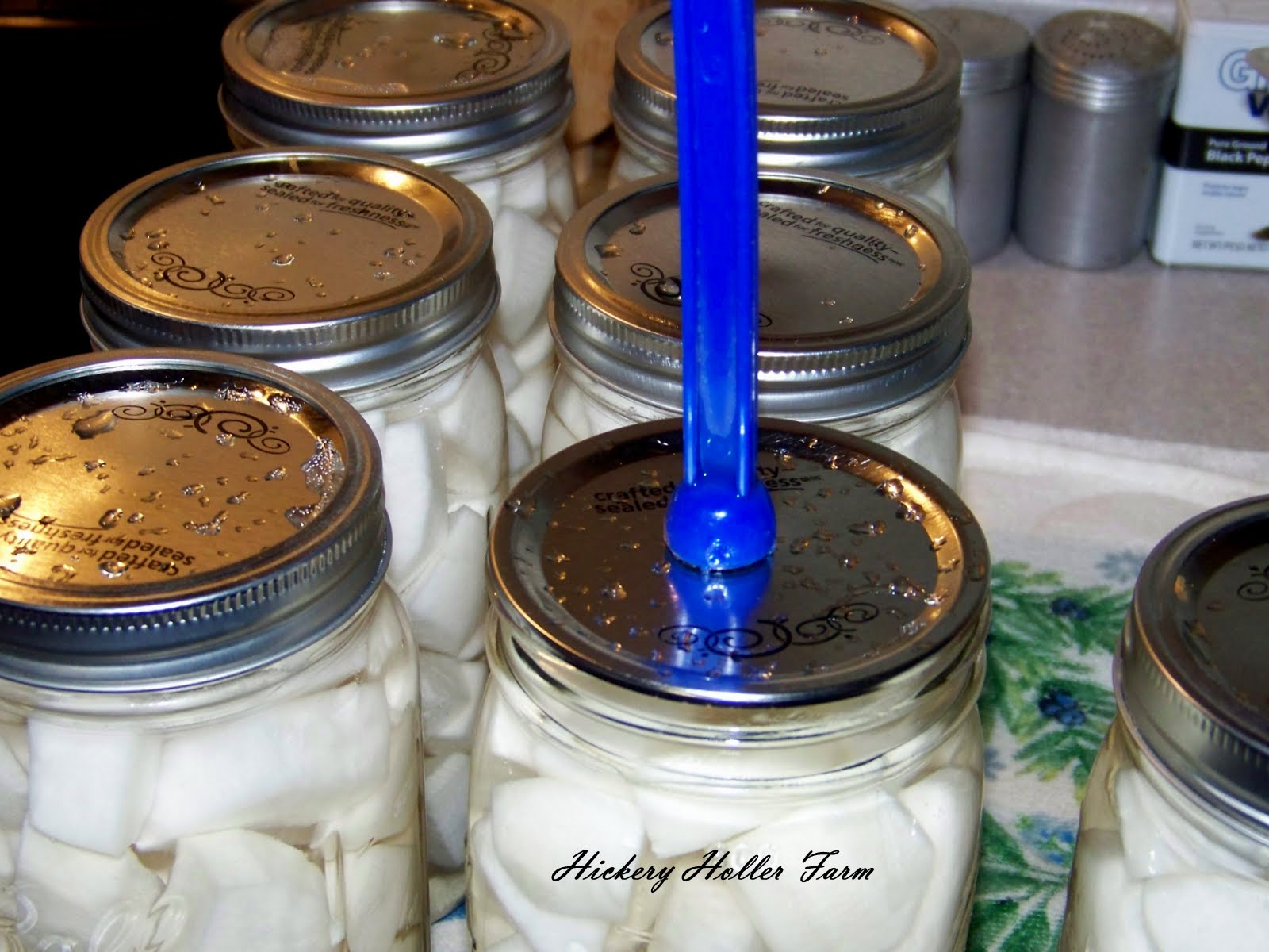 Hickery Holler Farm: Canning Turnips