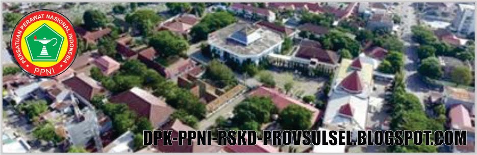 RSKD on Camera - DPK PPNI RSKD DADI PROV SULSEL