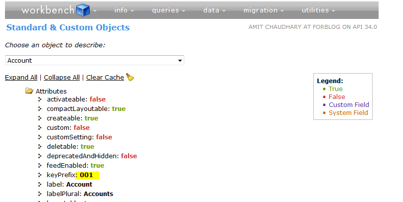 Amit Salesforce | Salesforce Tutorial: Record ID Prefix | Object Type from Record ID Prefix ...