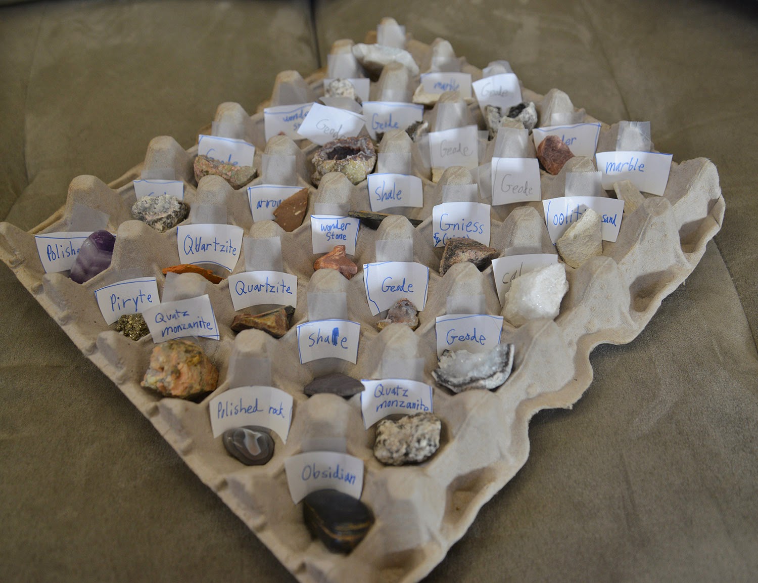 A school of fish: Miscellaneous rock stuff