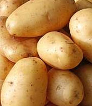 Dian Yang Tak Pernah Padam: 5 JENIS KENTANG BESERTA ANEKA KHASIAT ...