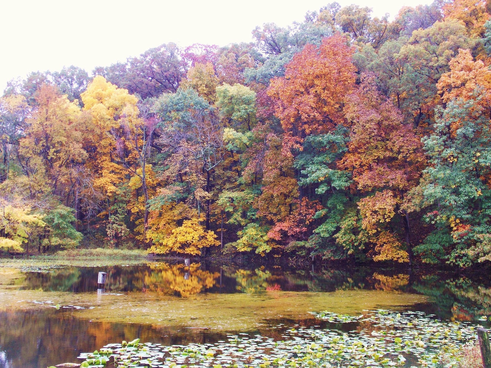 The Schramm Journey: Red Hills Illinois State Park