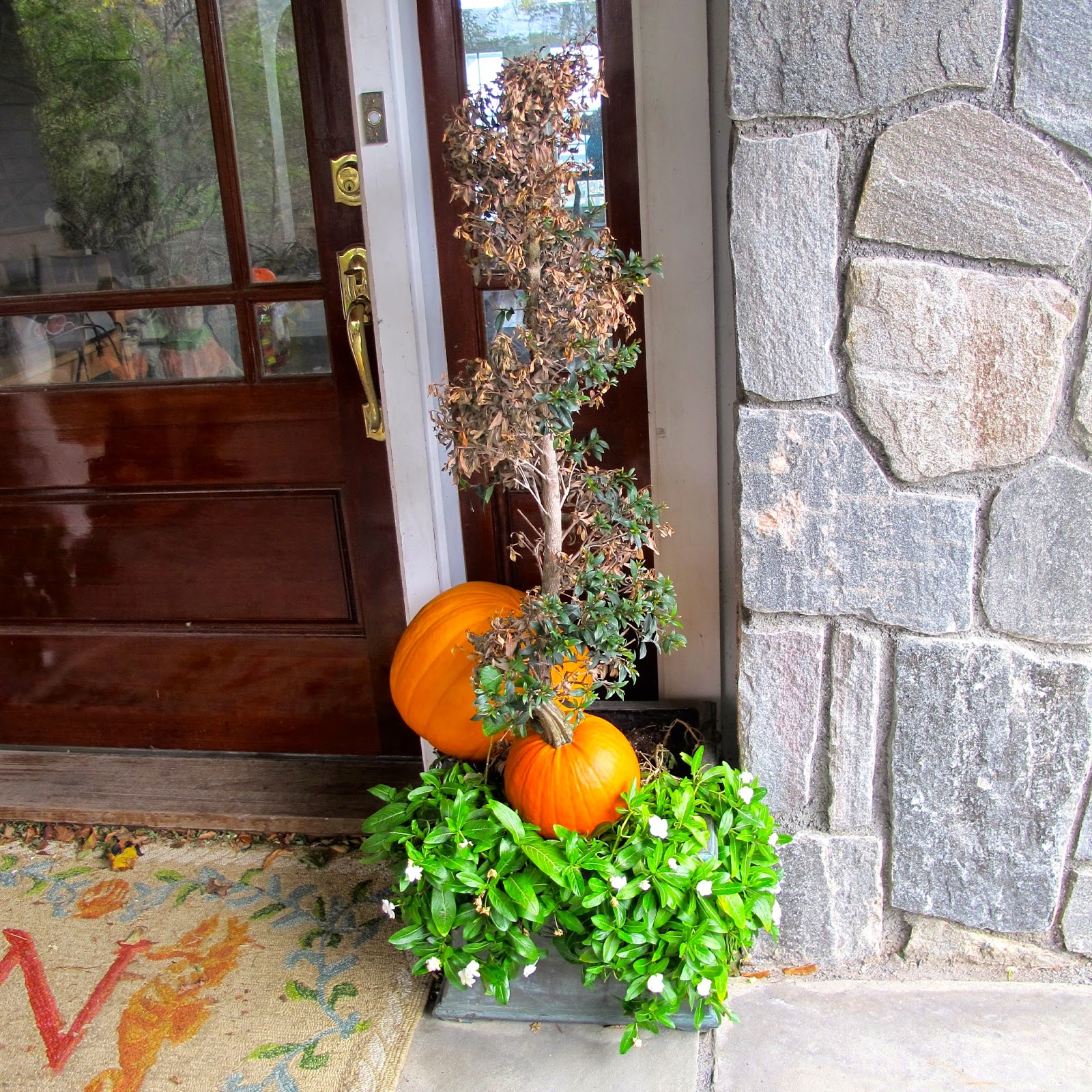 bloomingblog: Pumpkin Topiaries