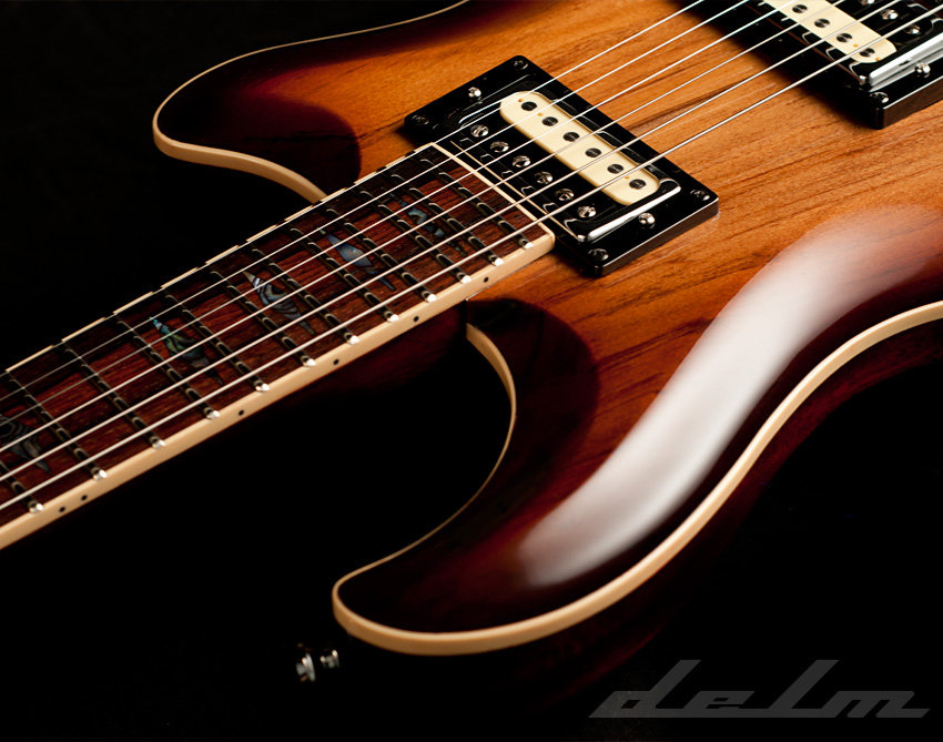Custom 'n' Boutique Guitars Gallery: Delm PCP-R