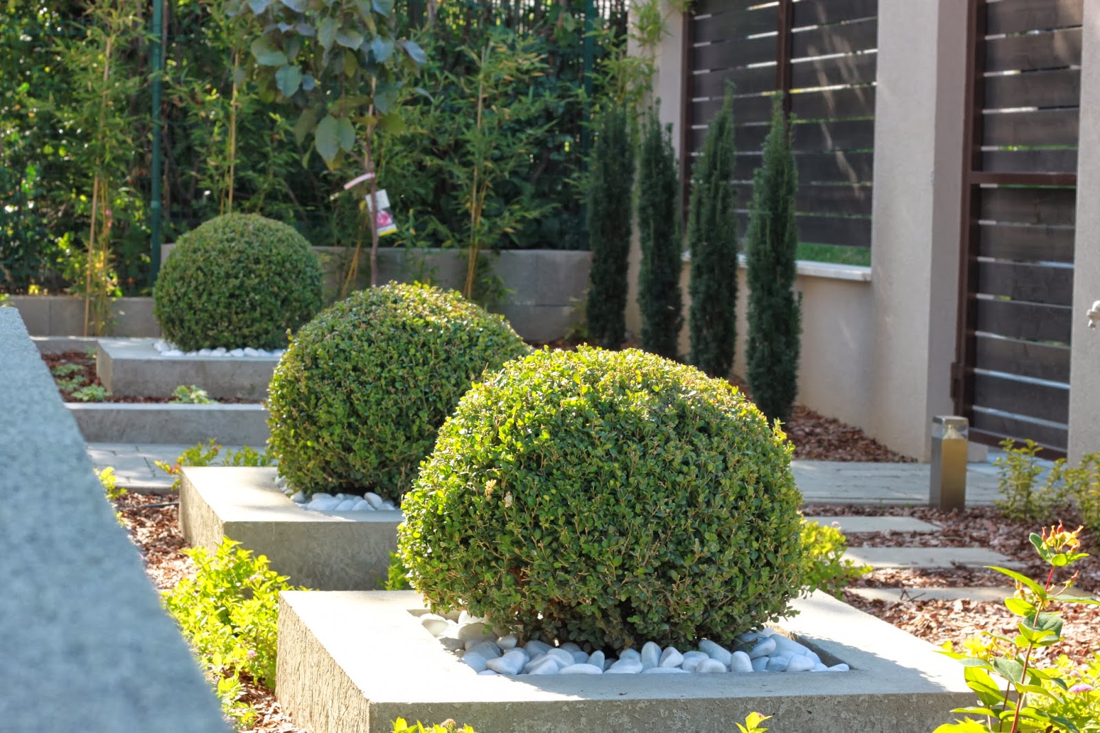 Egy kert születése képekben - avagy egy kis modern kert