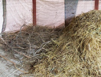 5 Acres & A Dream: Homestead Haying