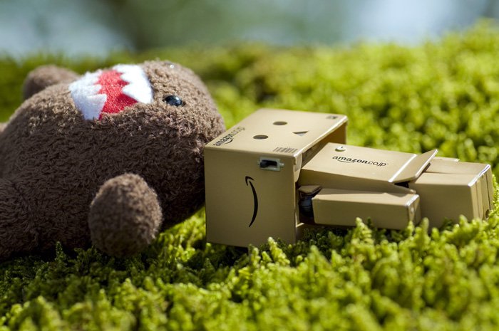 TASHA NURMEILITA !!!: the real Best Friend : DANBO and DOMO ♥