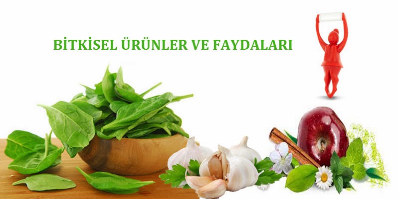 Bitkisel Ürünlerin Faydaları