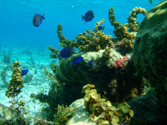 COLOMBIA TOURISM and The Caribbean Ocean, a paradise in the world ...