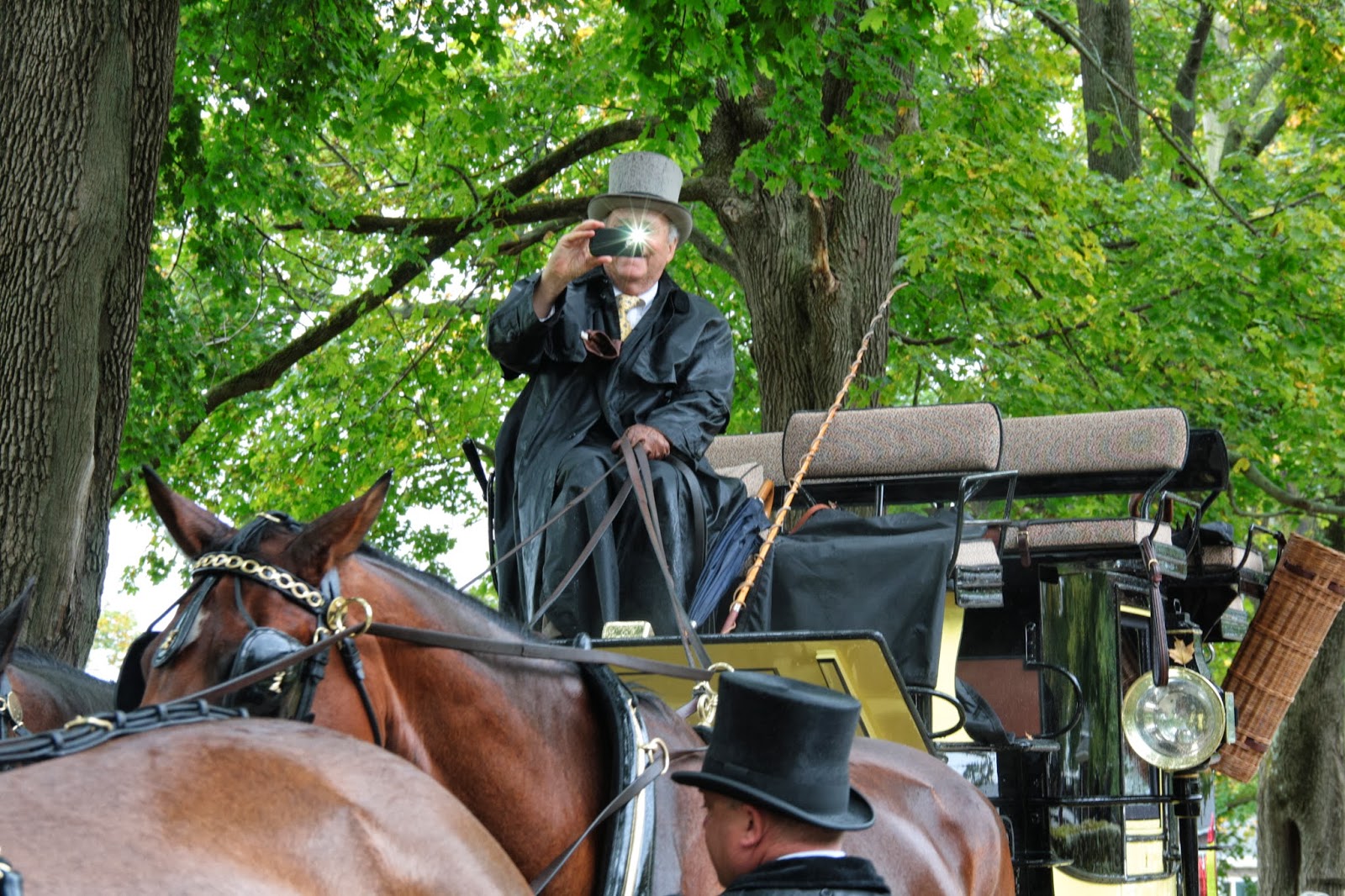 The Historic Horse Drawn Coaches of Hamilton - Antiques