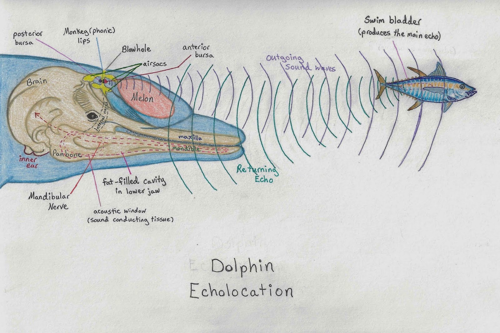 To Infinity And...In Theory: The Fearless Avenger...Comic Books to ...