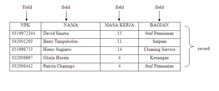 sistem basis data: Entitas Sistem Basis Data