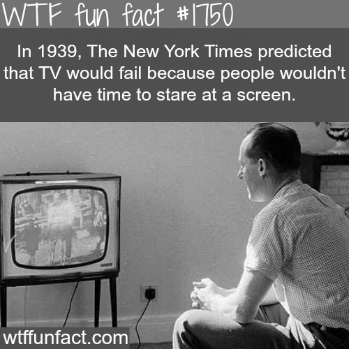 Brianna: On A Budget: "WTF" Fun Facts!