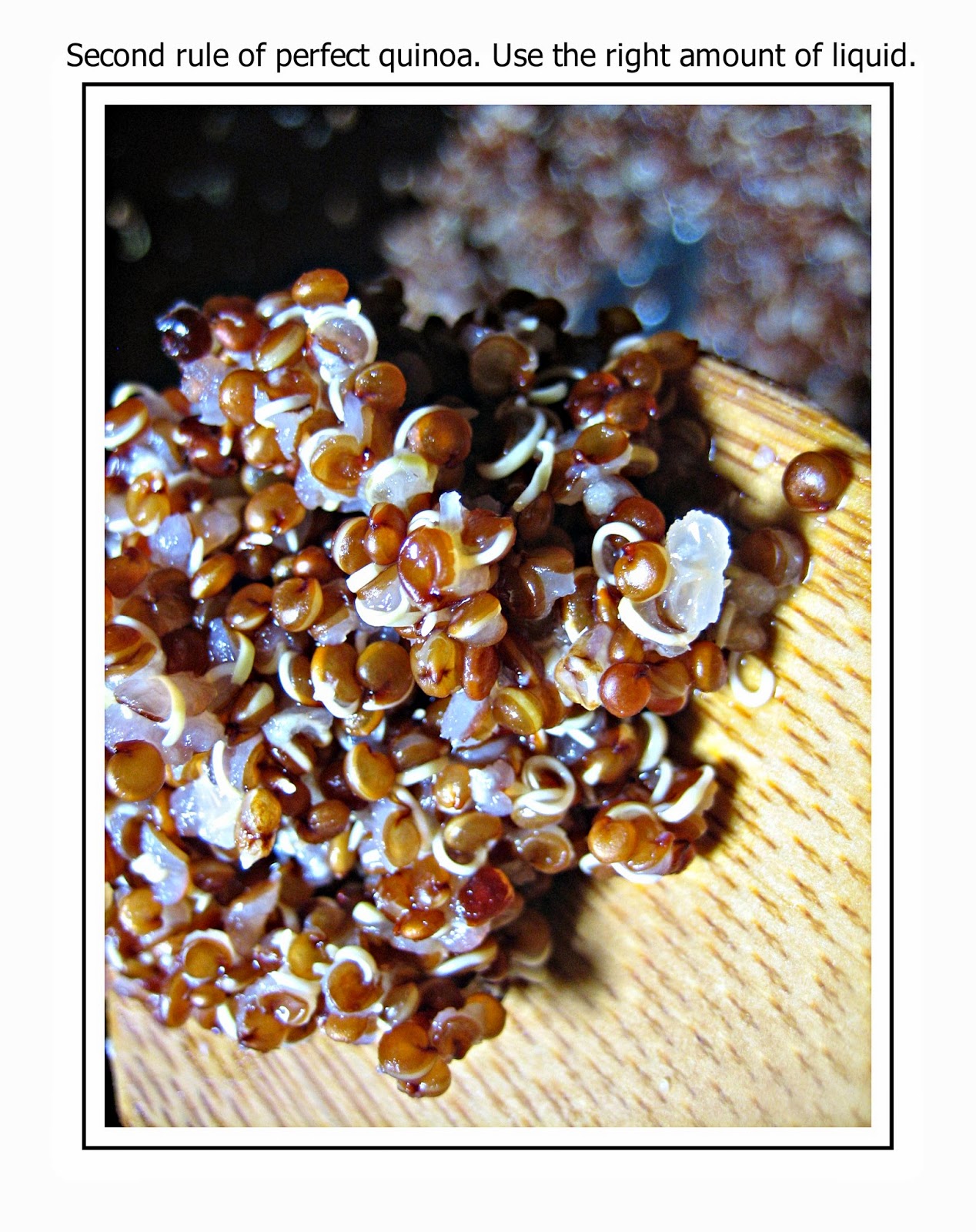 Preparing Wisely: Perfect Quinoa Cookery!