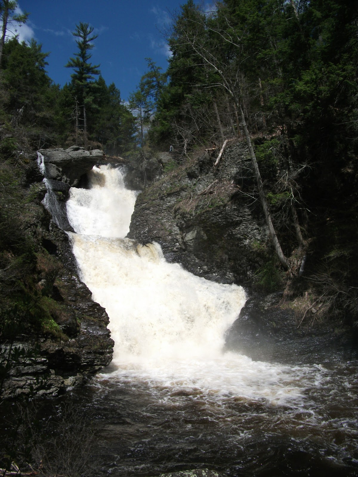 Raymondskill Falls