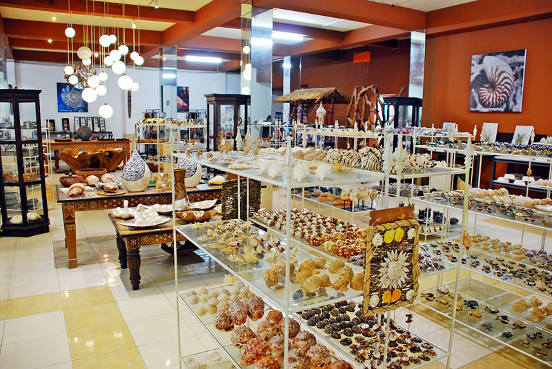 Bali Shell Museum Yang Keren Dan Unik Di Bali | Wisata Nusantara