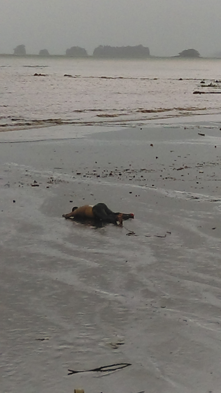 The Median Newspaper: Corpse abandoned at Limbe Down Beach