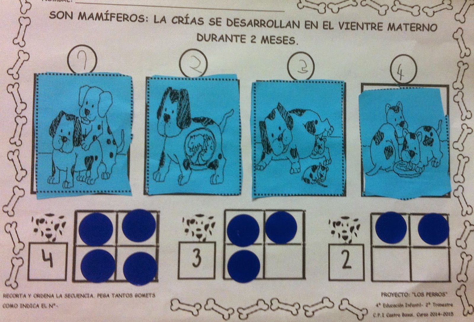 Cole de colores: ¿QUÉ ESTAMOS ESTUDIANDO SOBRE LOS PERROS?