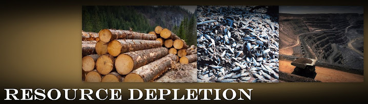 RESOURCE DEPLETION: References