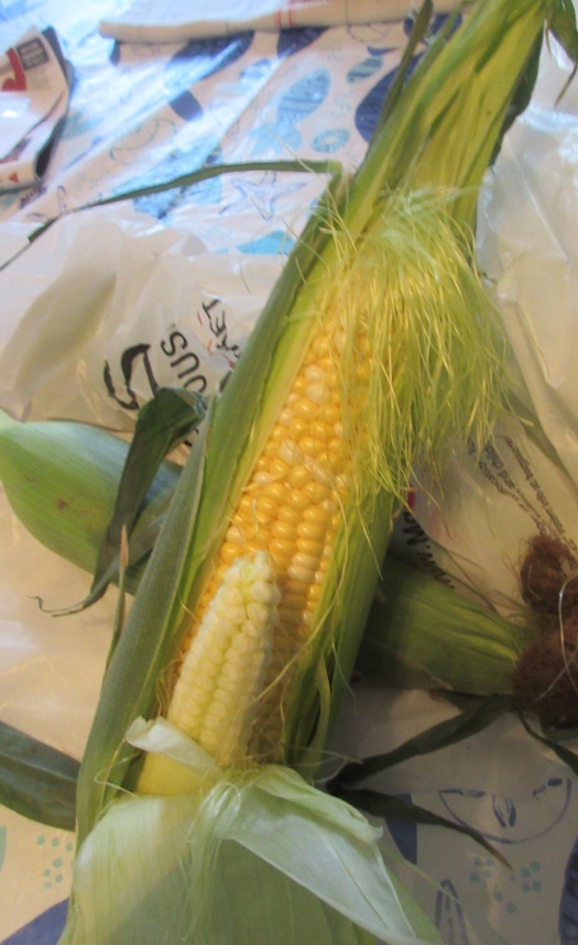 DON'T READ THIS; IT'S BORING!: This Week on the Dining Table