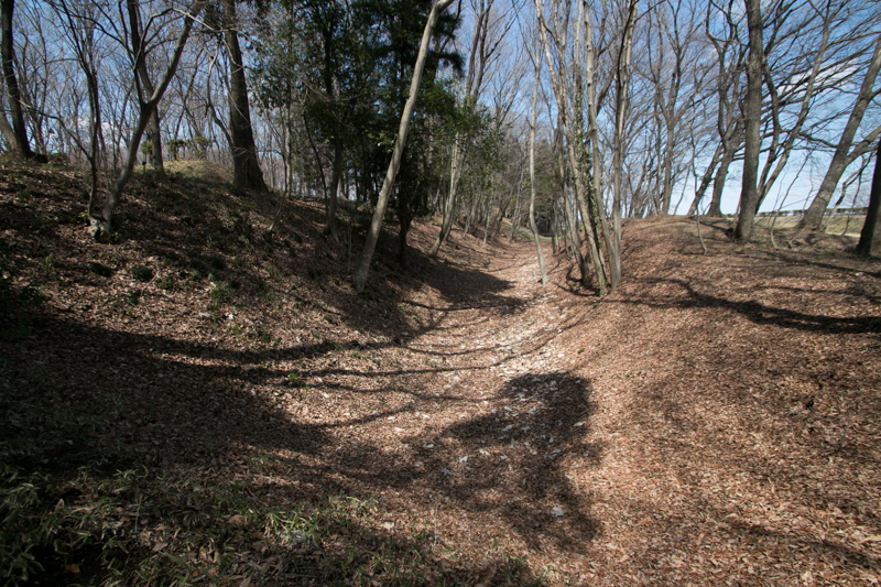Tobiyama Castle -Modern shape castle of traditional clan- | Ken's ...