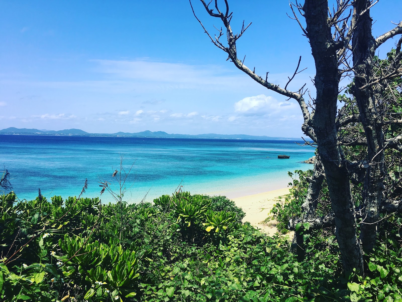 Spring Break: Island Hopping, Rainbow Bagels, and the famous Kokasai ...