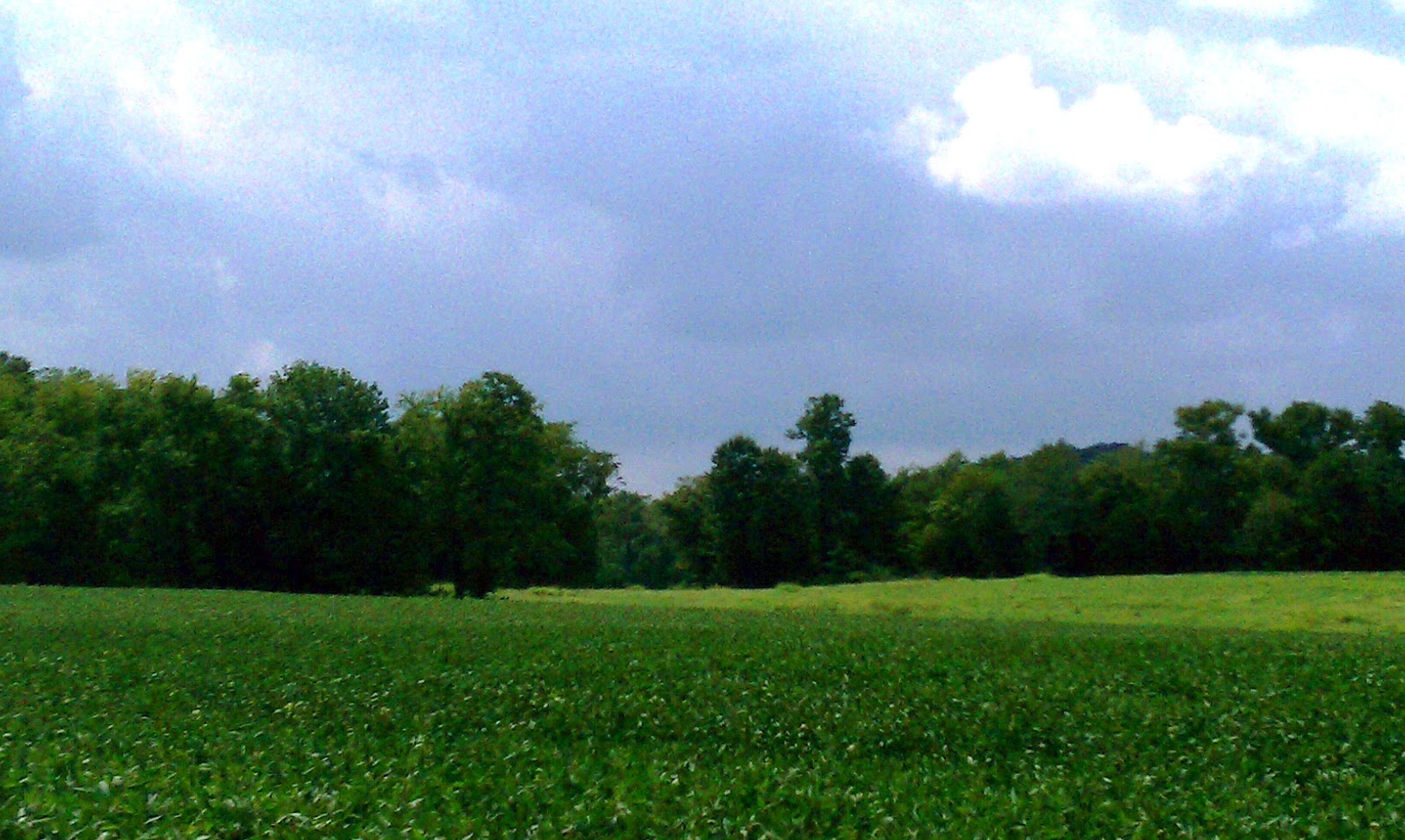 TENNESSEE FLY FISHING: Elk River, TN August 2012