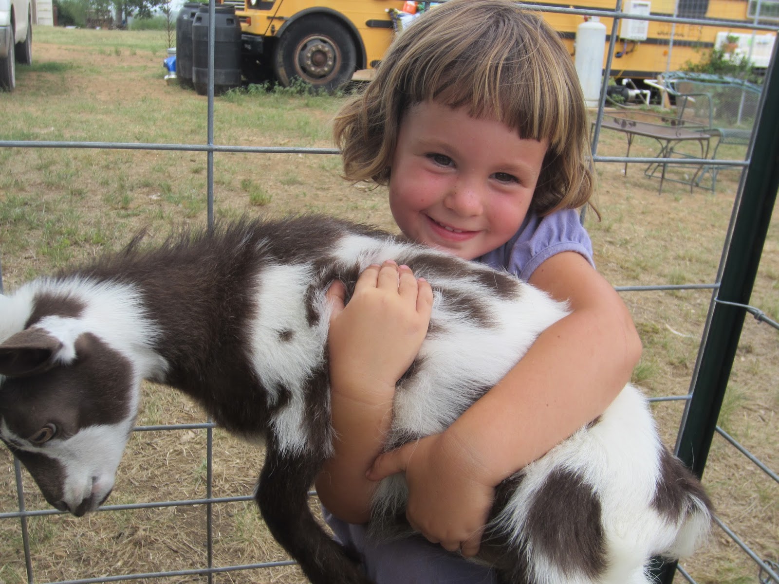 Adventures of the Yellow School Bus: Goats