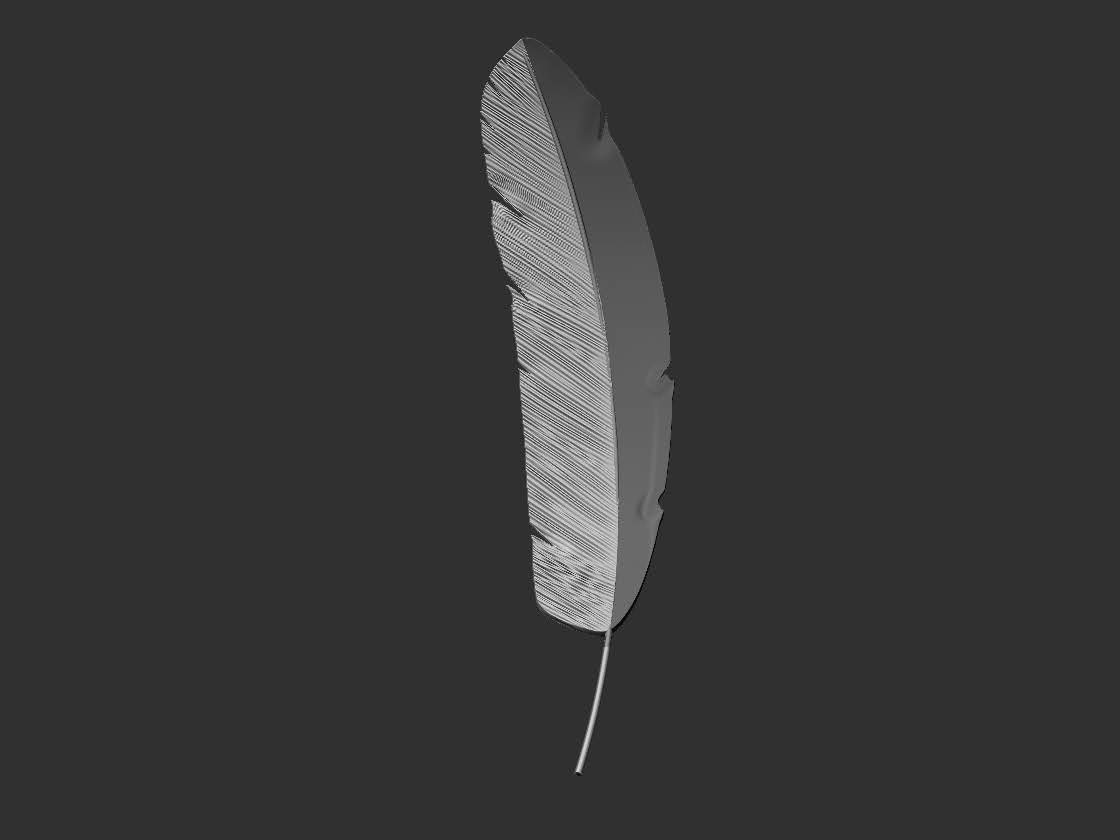 Darya Girina Zbrush Endless Way: Modelling bird feather and wings ...
