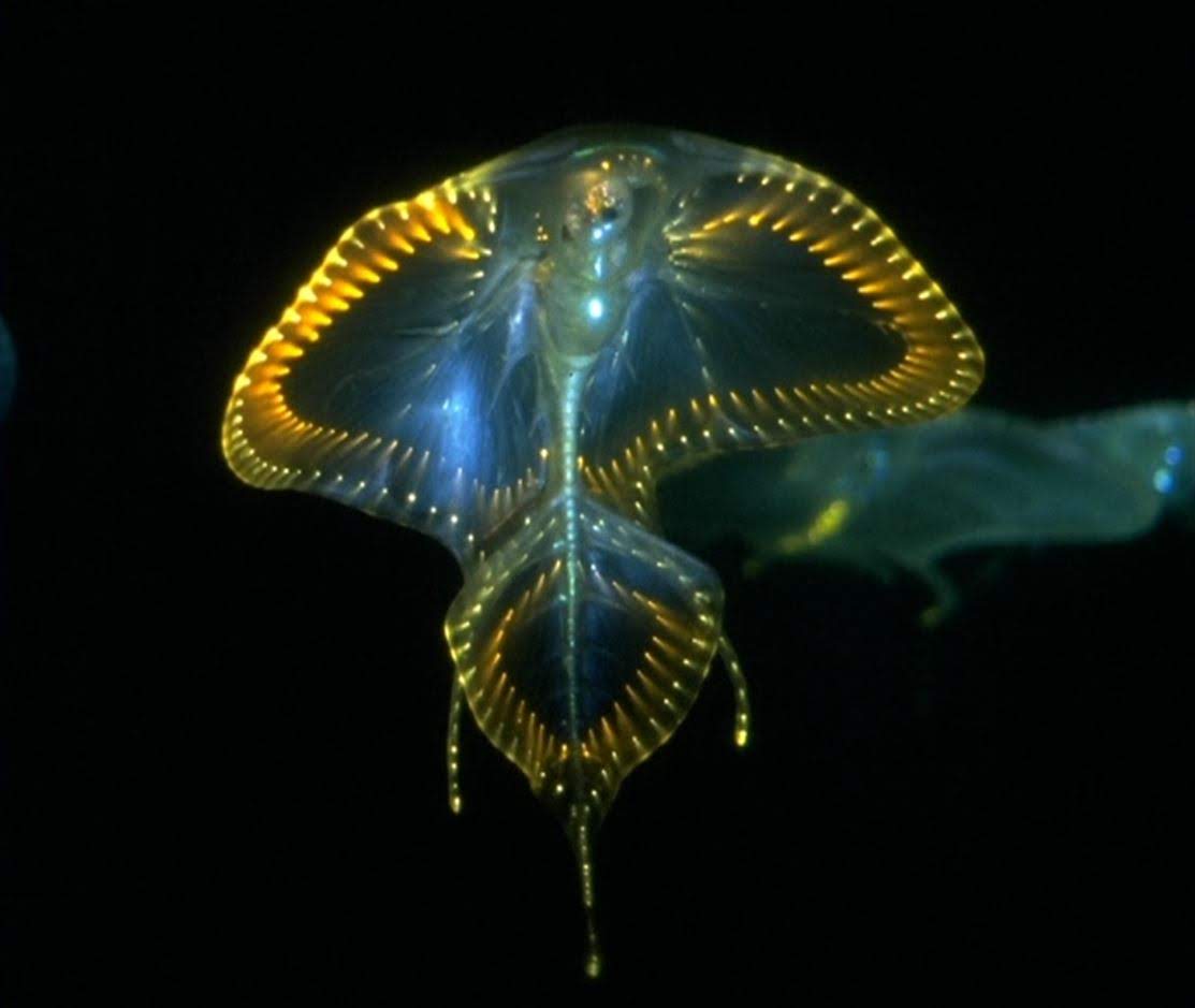 model ships in the cinema: The Abyss 1989 Part 4