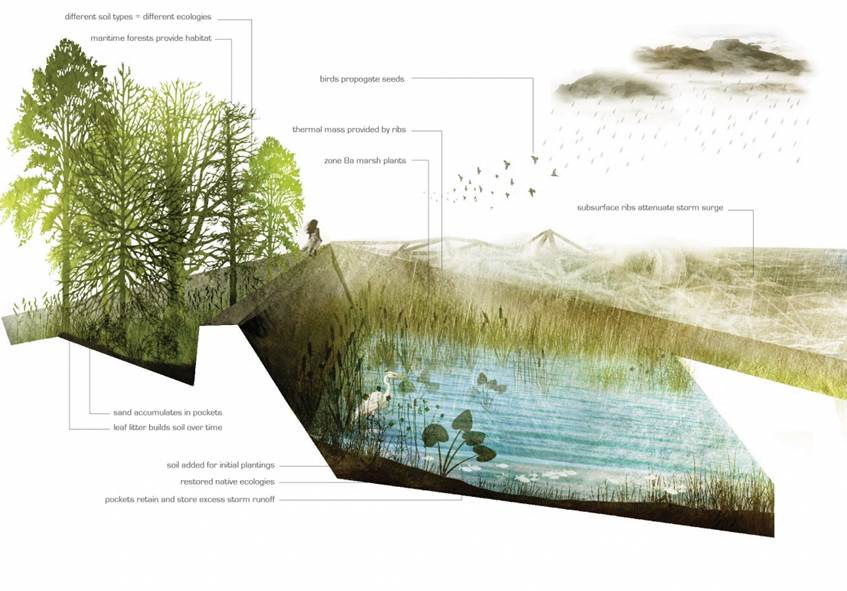 Contemporary Issues in Landscape Architecture: LANDSCAPE OF TODAY: AN ...