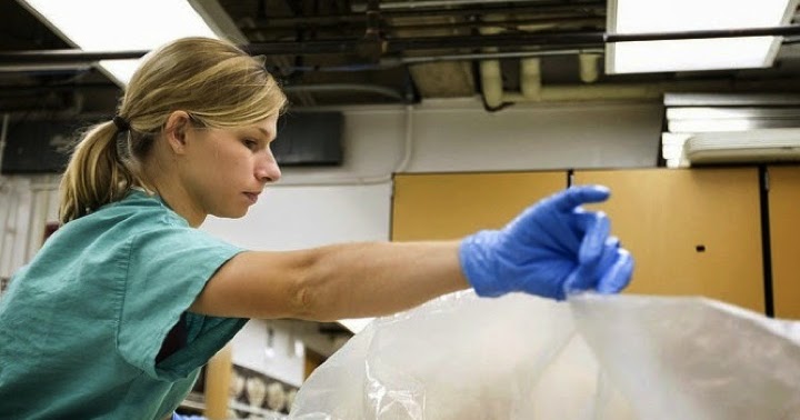 EmergenMed Health Blog: Proceso de embalsamamiento de un cadáver humano